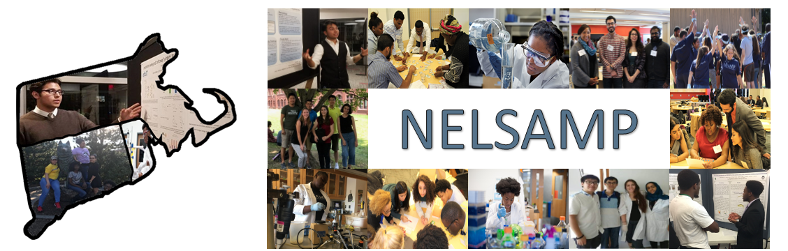 Husky Bridge to the Doctorate STEM Program | Bridge to the Doctorate ...